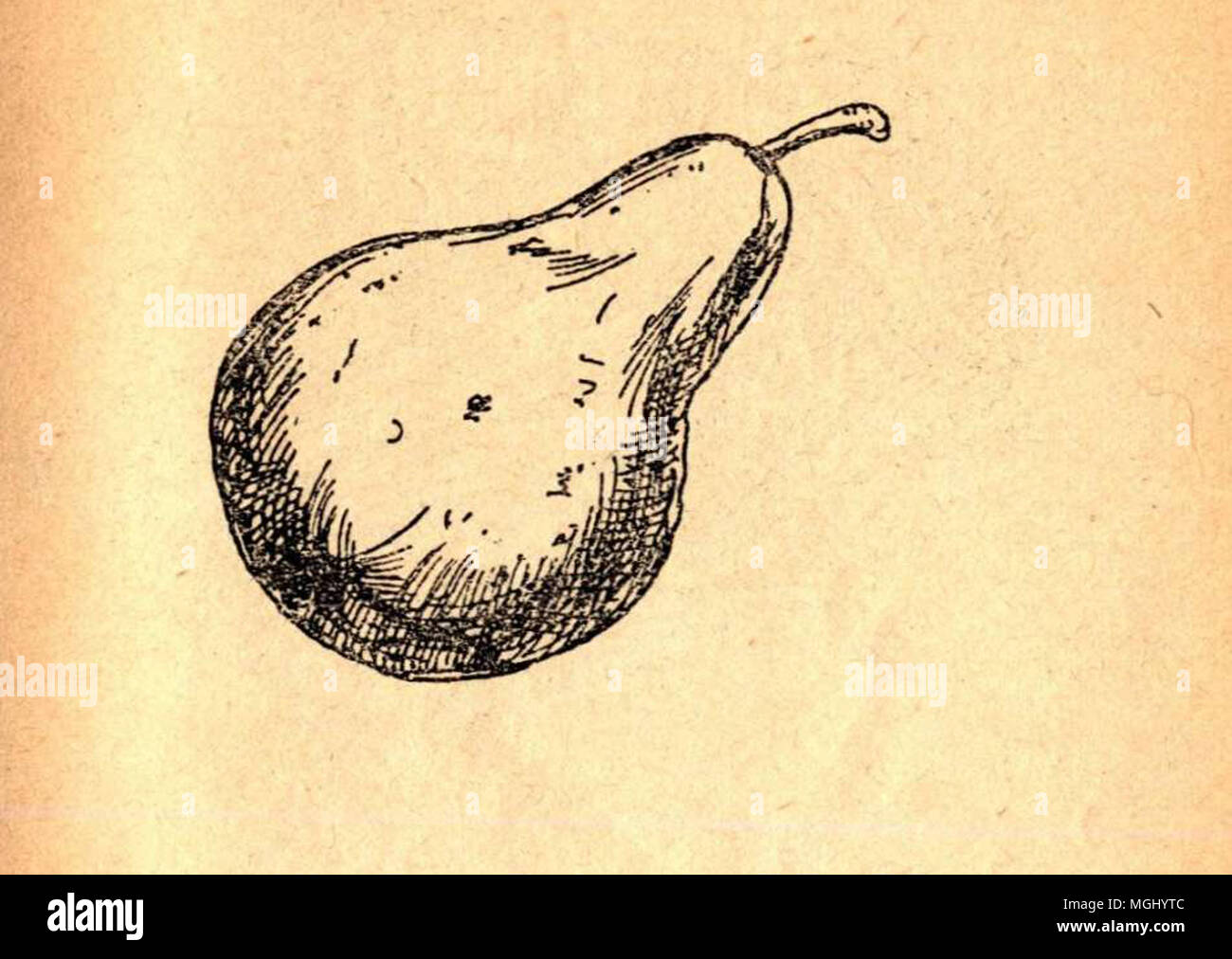 sketch of a pear Stock Photo - Alamy