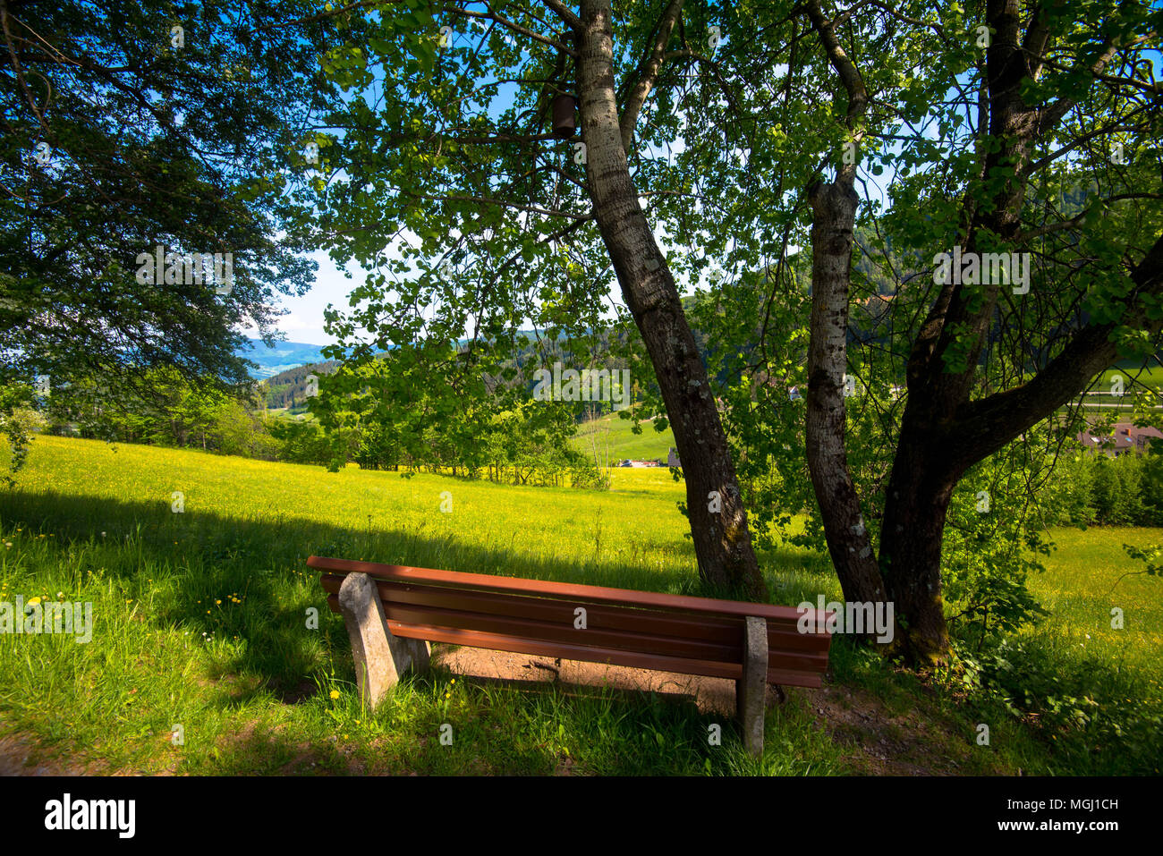 Black forest flowers hi-res stock photography and images - Alamy