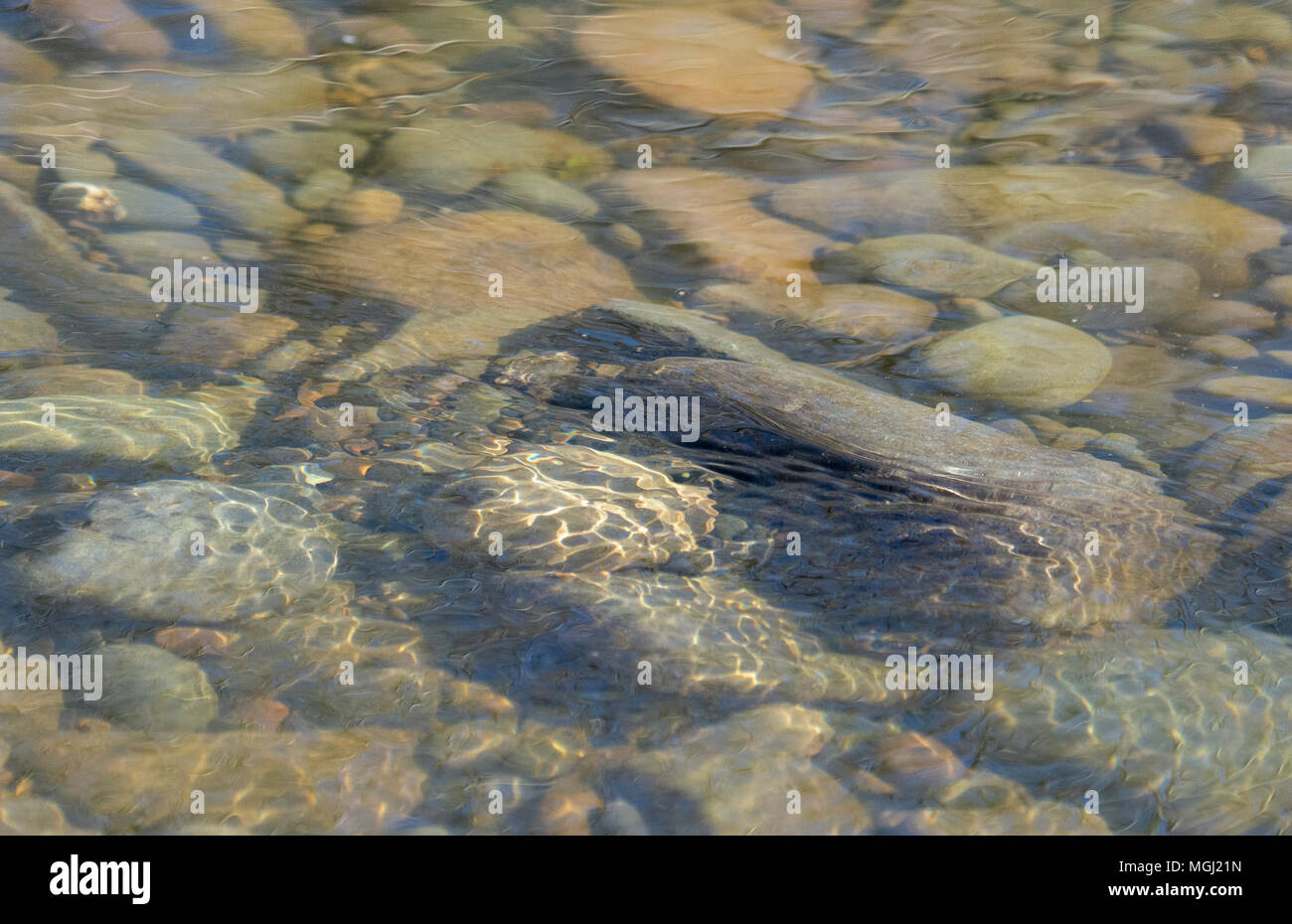 River stones hi-res stock photography and images - Alamy