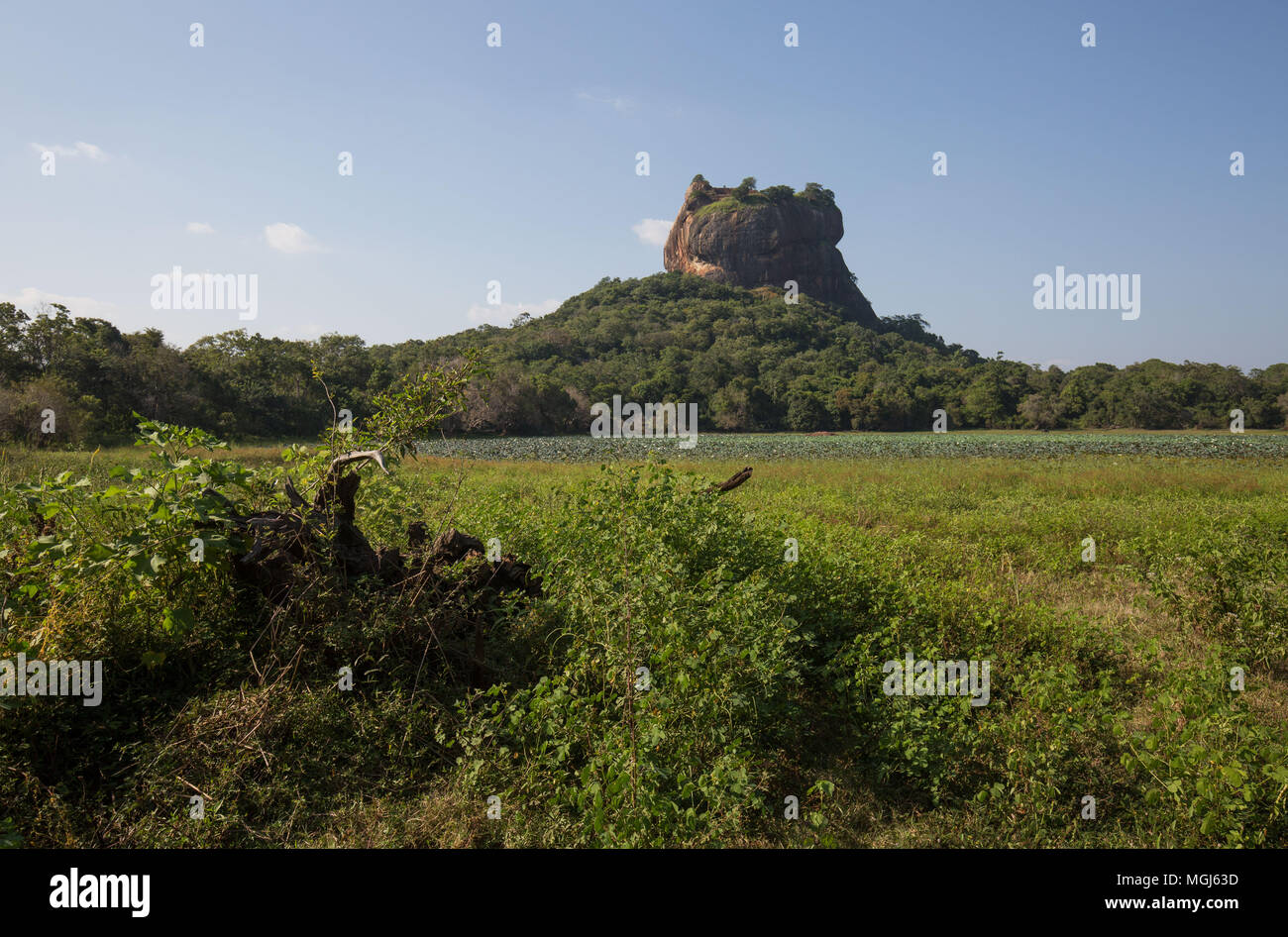 View of Sigiriya Rock Fortress, Central Province, Sri Lanka, Asia Stock ...