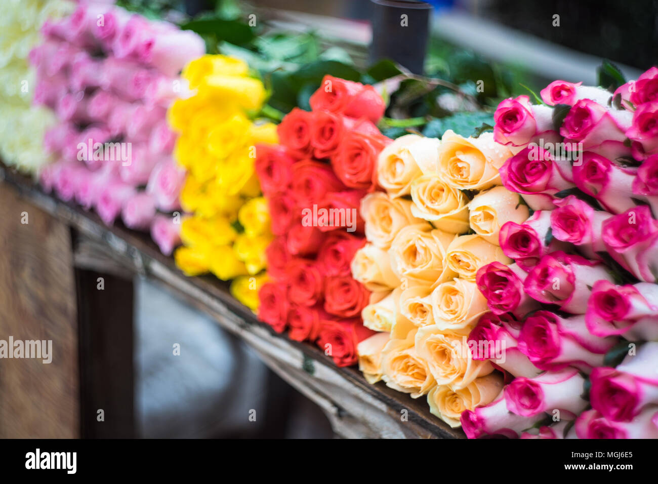 Different colors roses offered on street flower market Stock Photo - Alamy