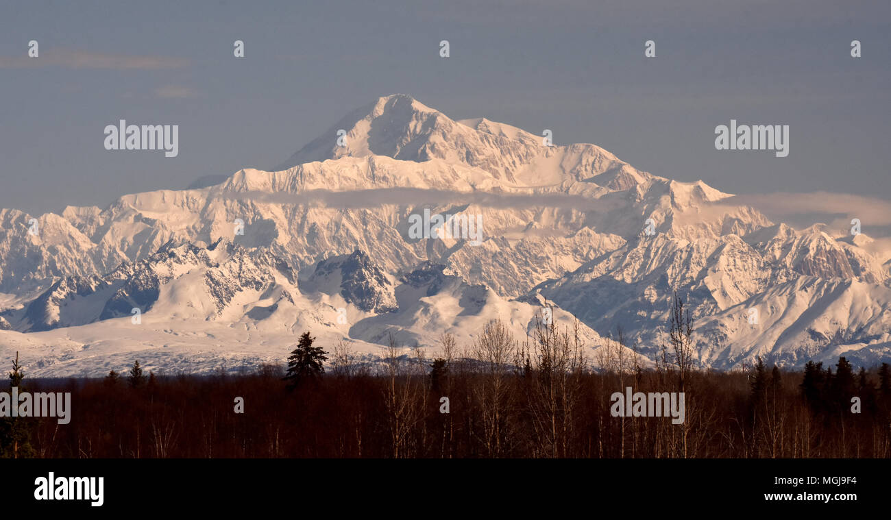 With a summit elevation of 20,310 feet, Denali, formerly known as Mount ...