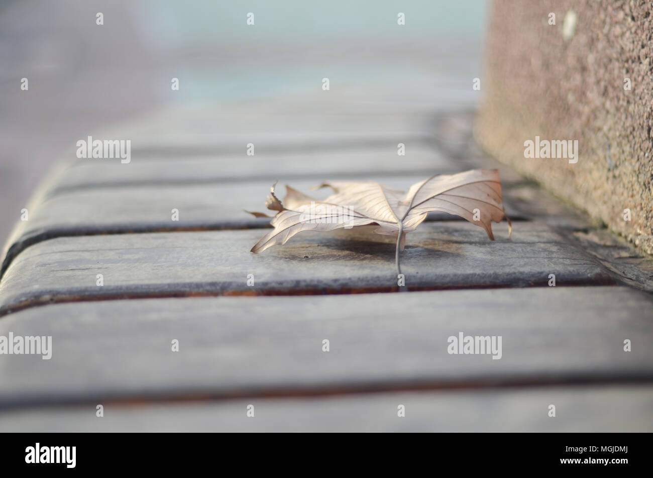 Sadness environment hi-res stock photography and images - Alamy