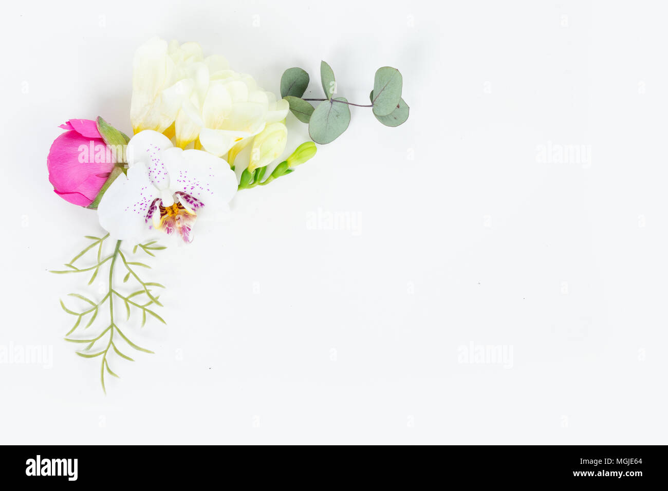 White roses leaves composition Cut Out Stock Images & Pictures - Alamy