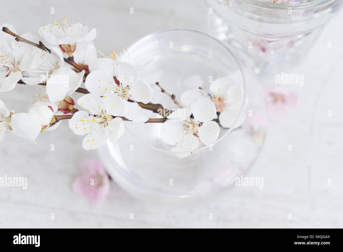 Spring tree flowers Stock Photo - Alamy