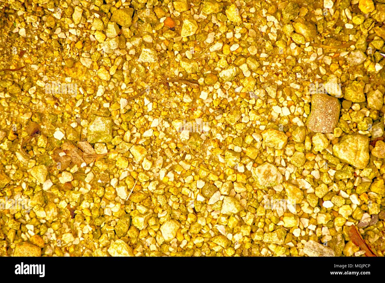 Ultra yellow Pebble surface, stone texture or rock backdrop, ground ...