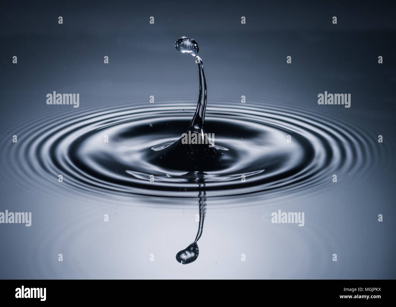 A water spike rises from a small pool of water Stock Photo - Alamy