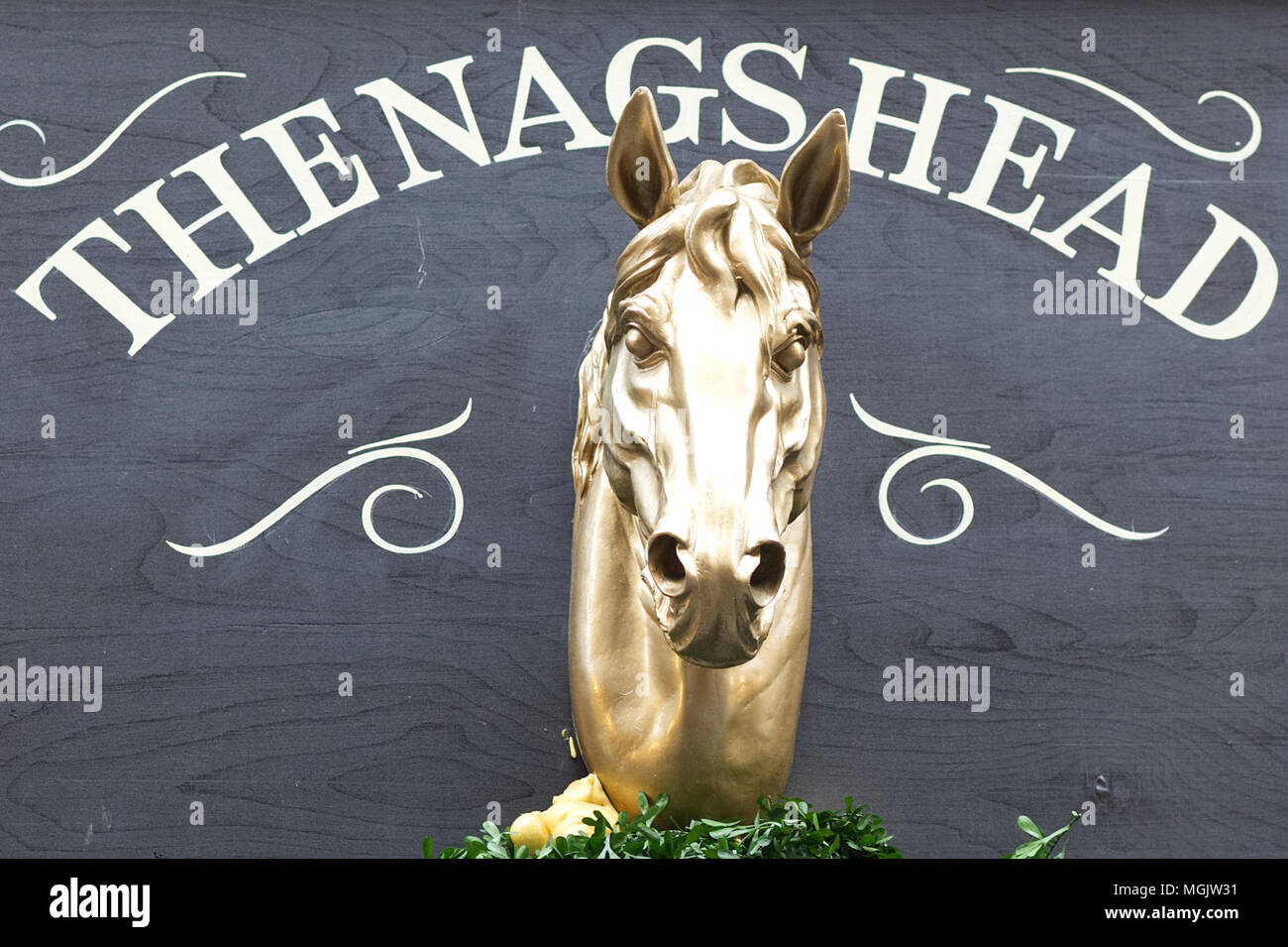 The Nags head, Public house sign and golden horse head statue Stock ...