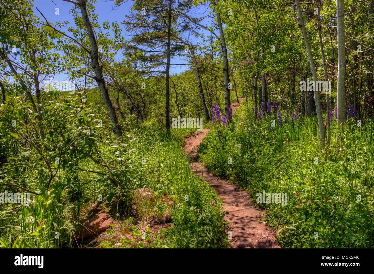Hawks ridge hi-res stock photography and images - Alamy