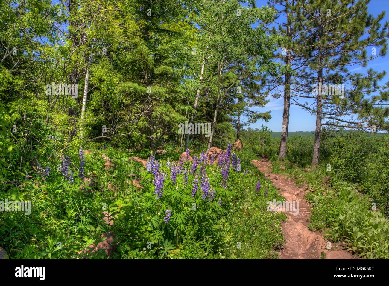 Hawks ridge hi-res stock photography and images - Alamy