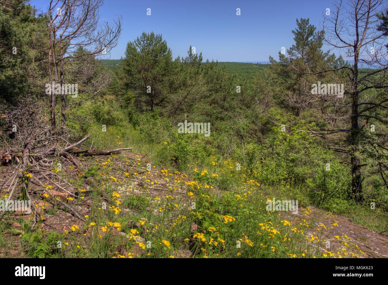Hawks Ridge is a park in Duluth, Minnesota with view of the city and ...