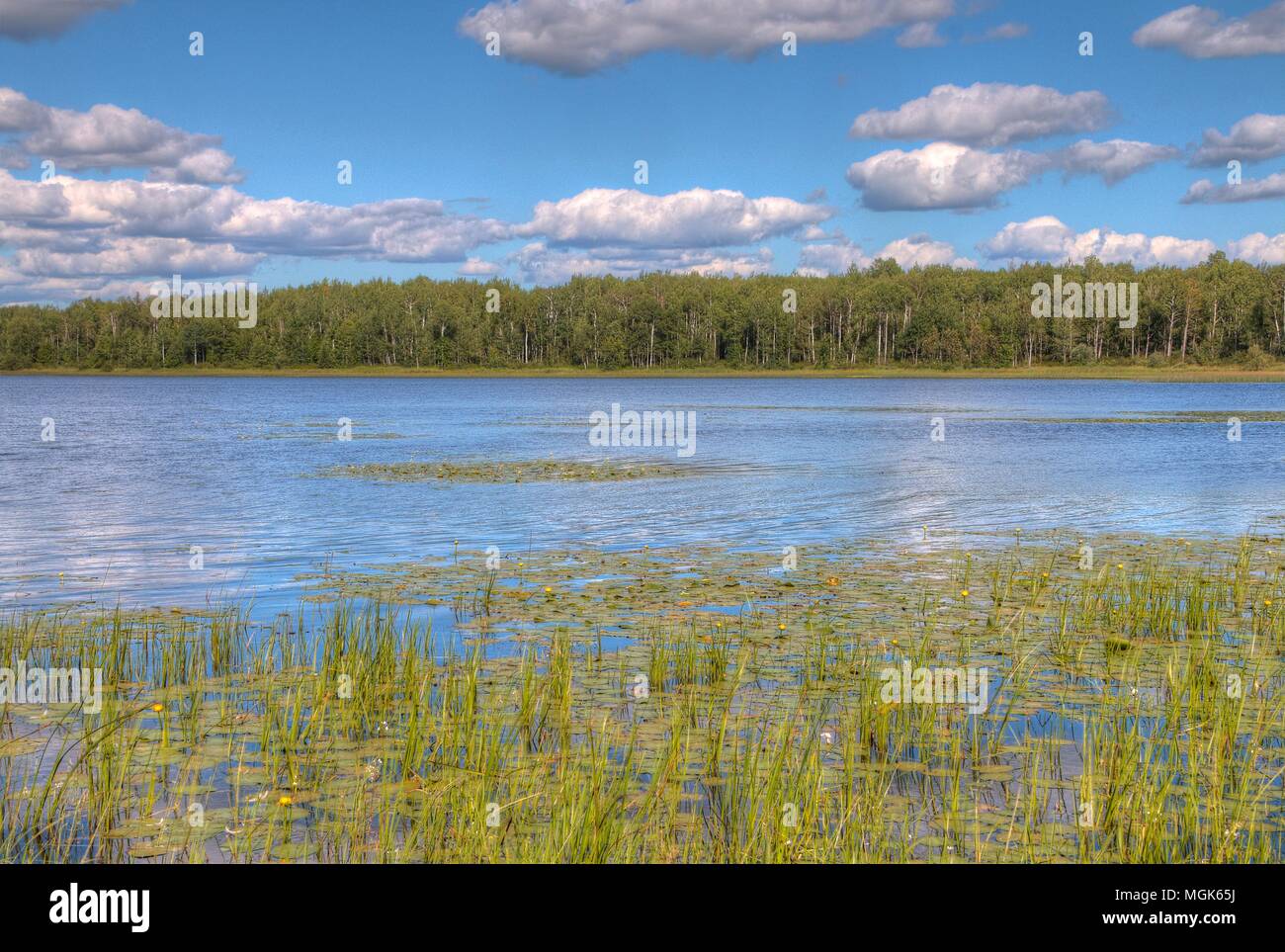 Hibbing, Minnesota has one of the largest open pit mines Stock Photo ...