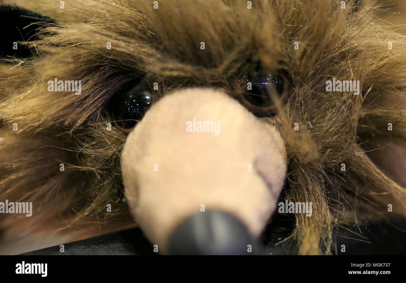 Muppet animal hi-res stock photography and images - Alamy