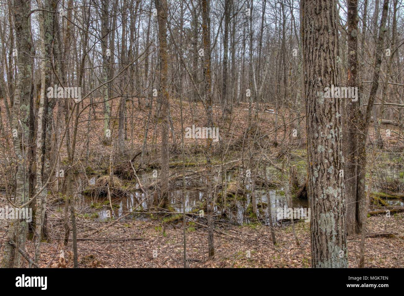 Mille Lacs Kathio State Park is located on Mille Lacs Lake in Northern ...