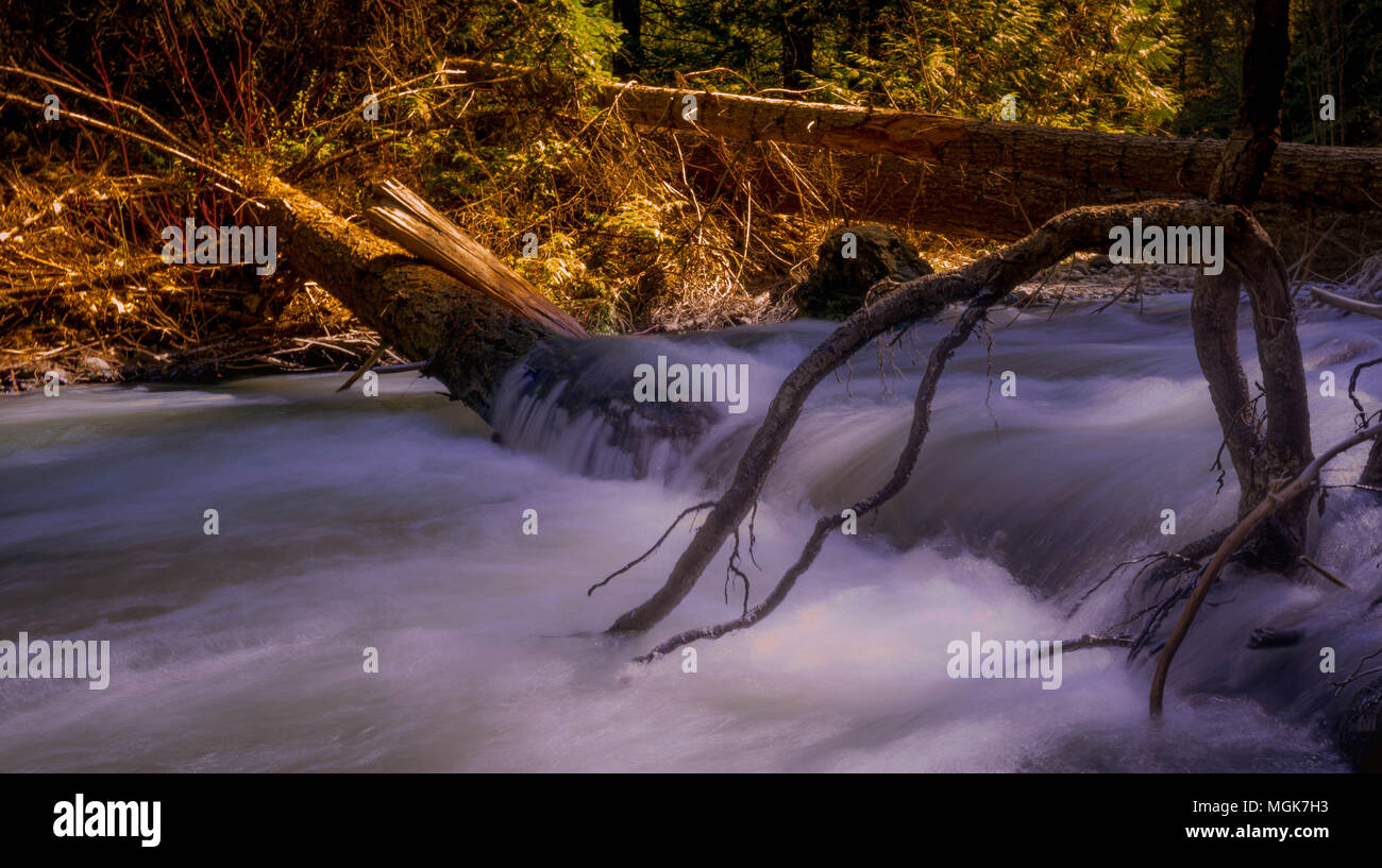 Swift creek hi-res stock photography and images - Alamy