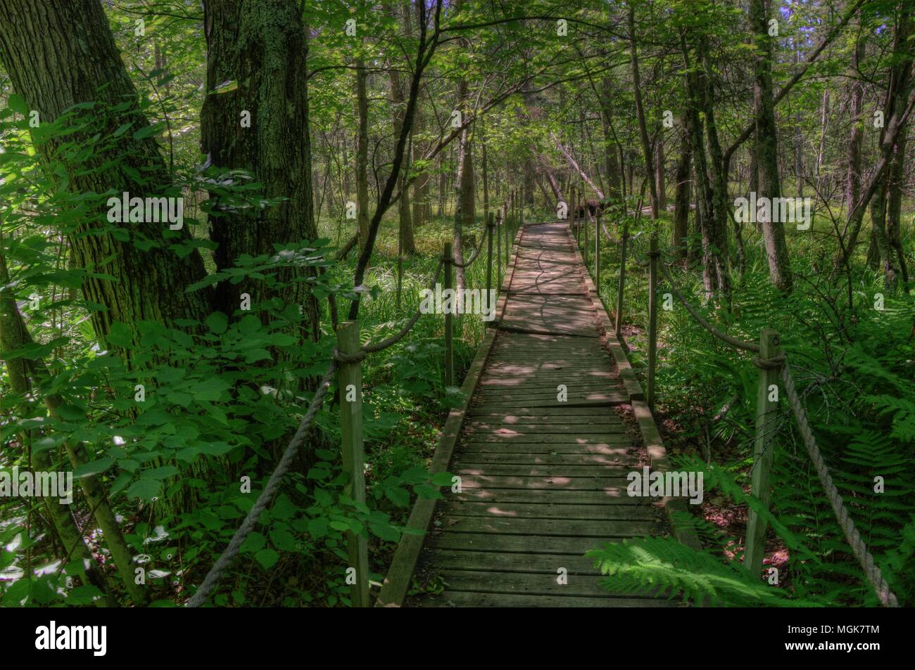 Mille Lacs Kathio State Park is located on Mille Lacs Lake in Northern ...