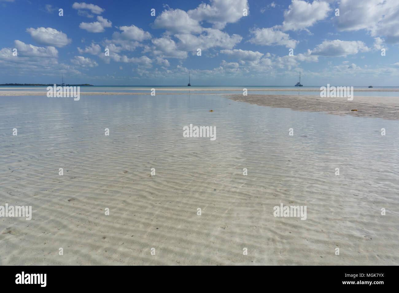 Exploring shallow water tide pools and sand ridges on the Atlantic ...