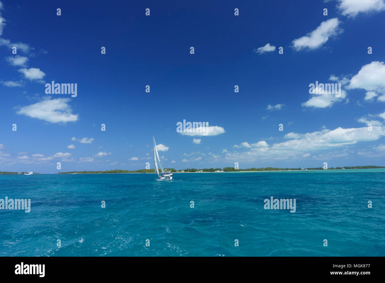 All jamaica marine hi-res stock photography and images - Alamy