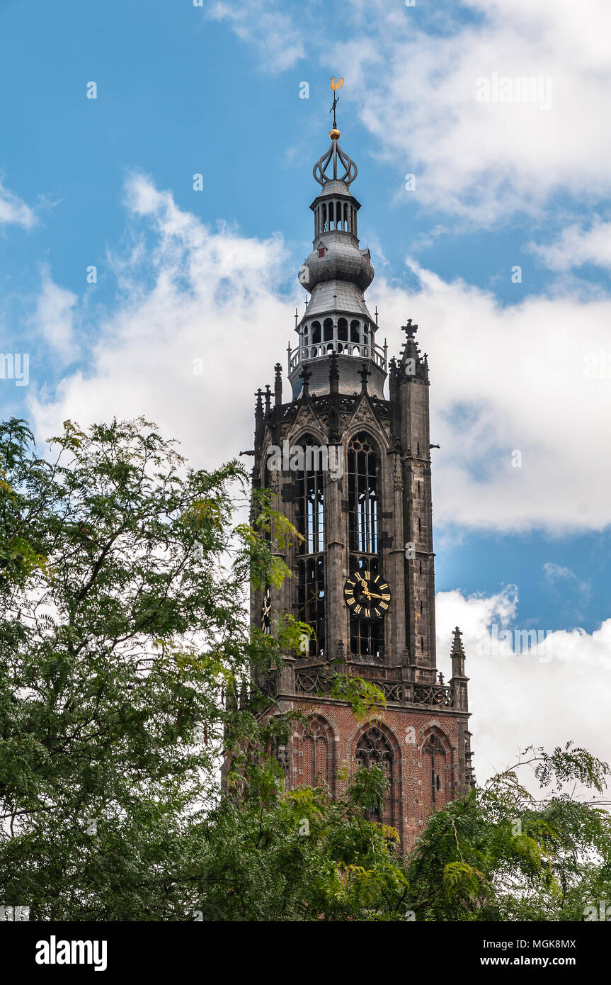 old Dutch church tower with beautiful trees in bloom in the foreground ...