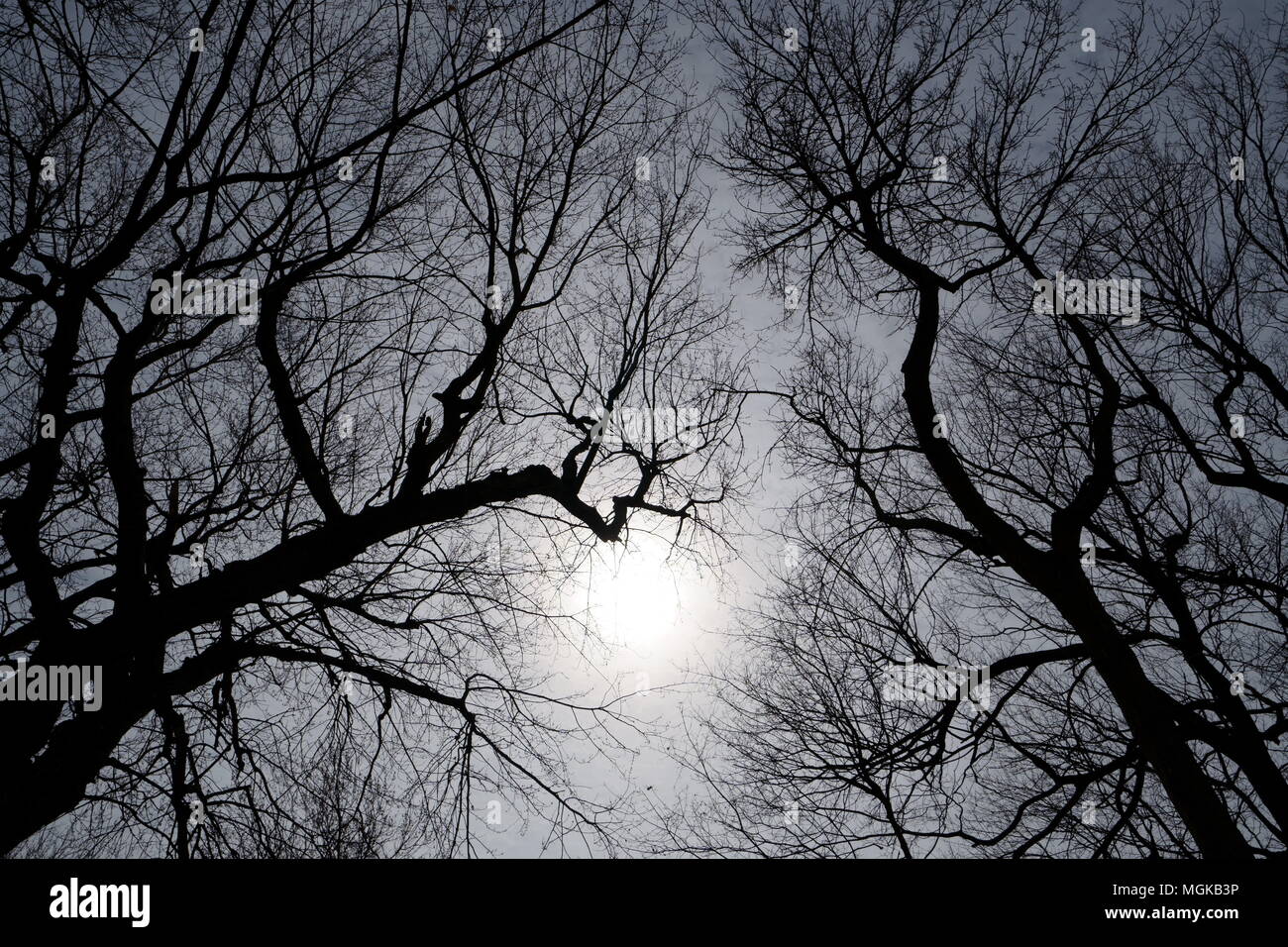 Dark sunlight sun beam hi-res stock photography and images - Alamy