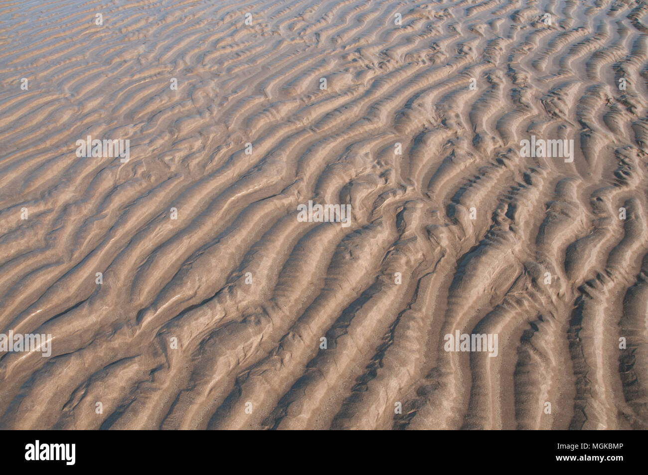 Patterns in the sand on a beach in the UK Stock Photo - Alamy