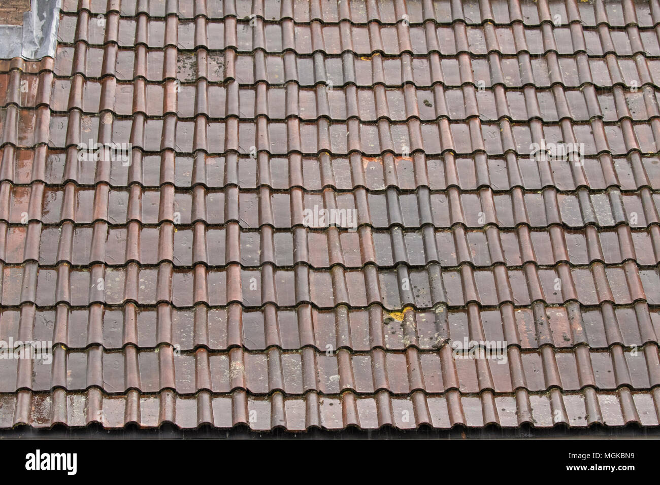 Roof tile patterns in the rain Stock Photo - Alamy