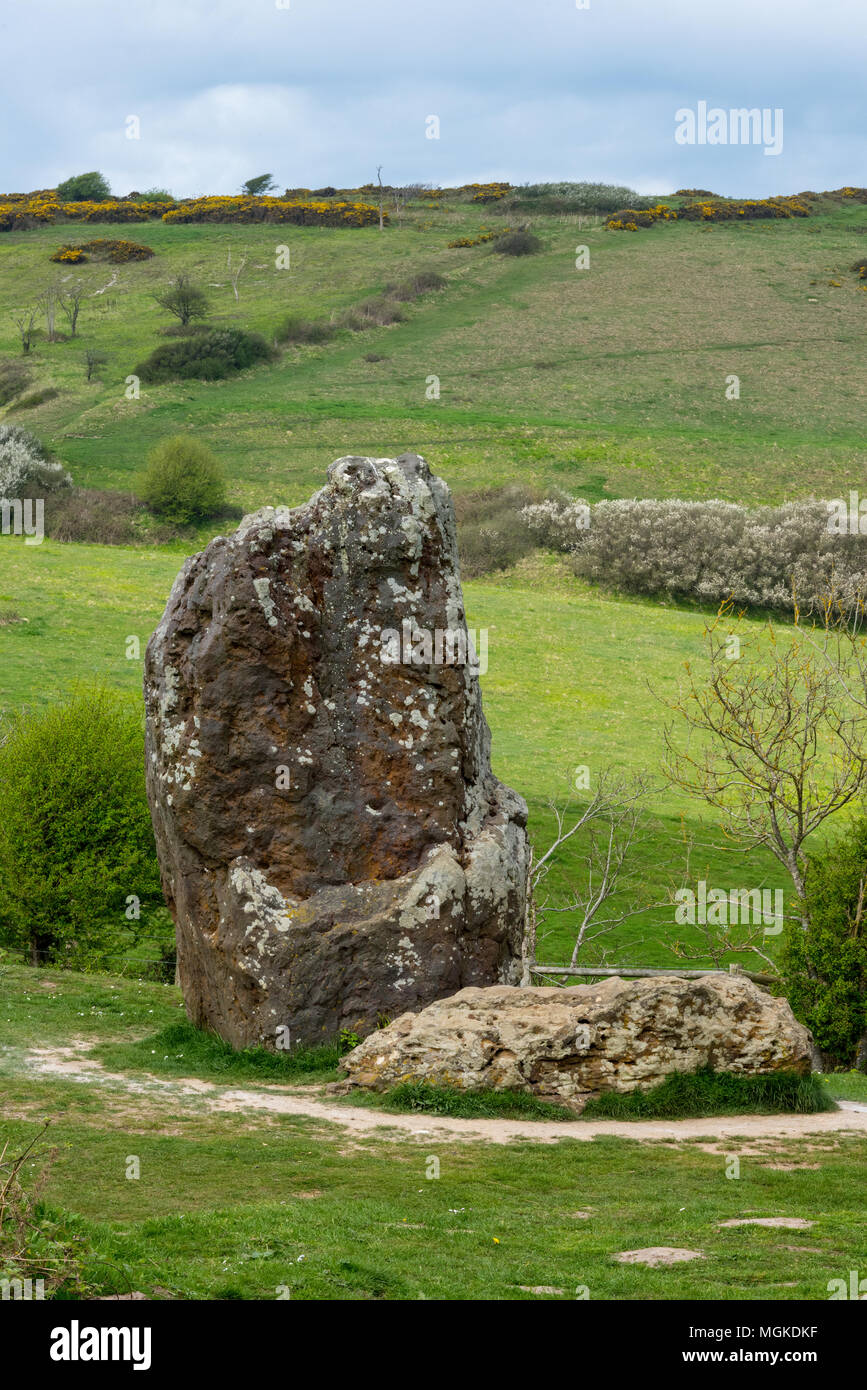 The Neolithic or historic long stone at mottistone on brighstone down ...