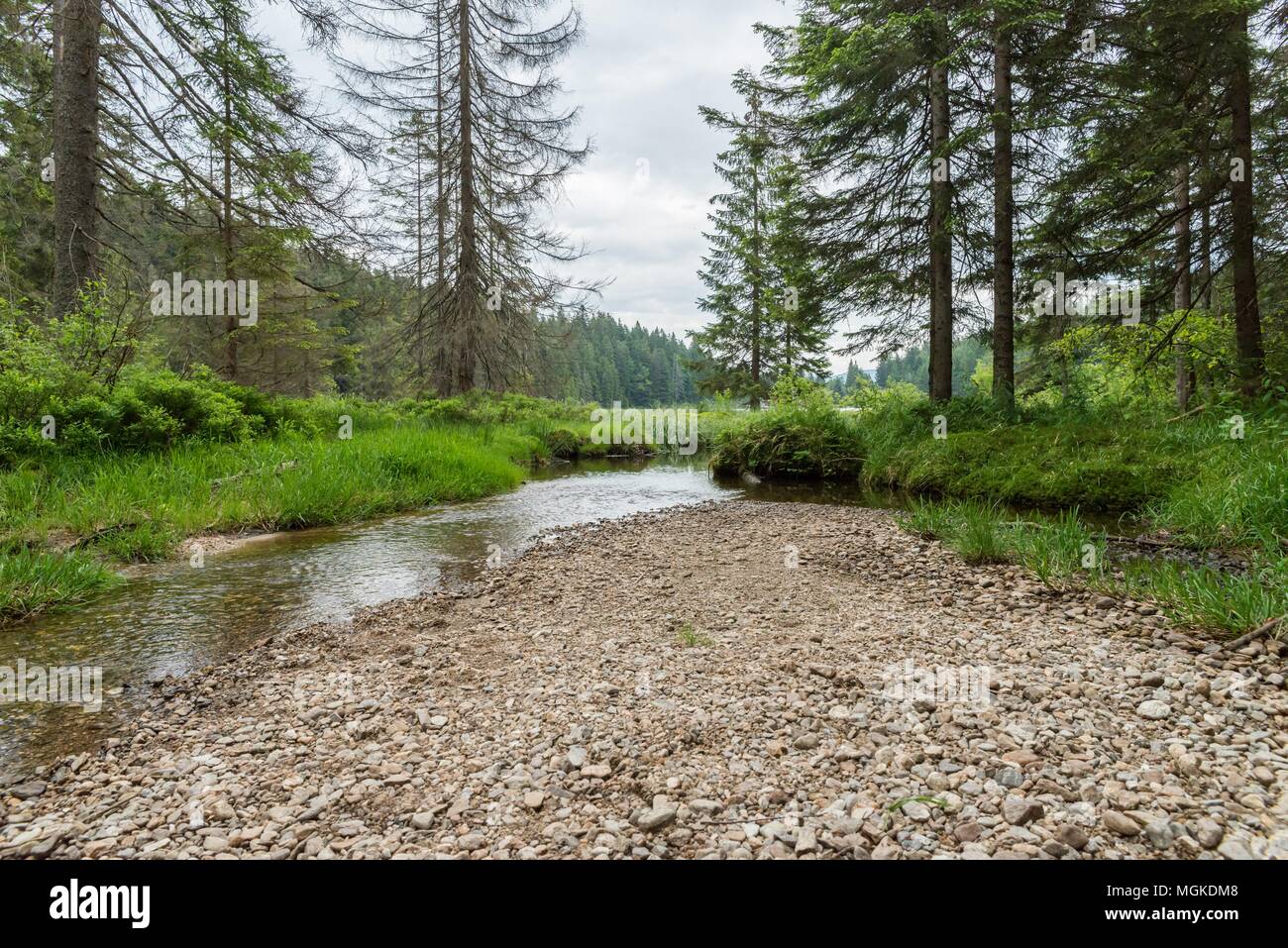 Arber region hi-res stock photography and images - Alamy