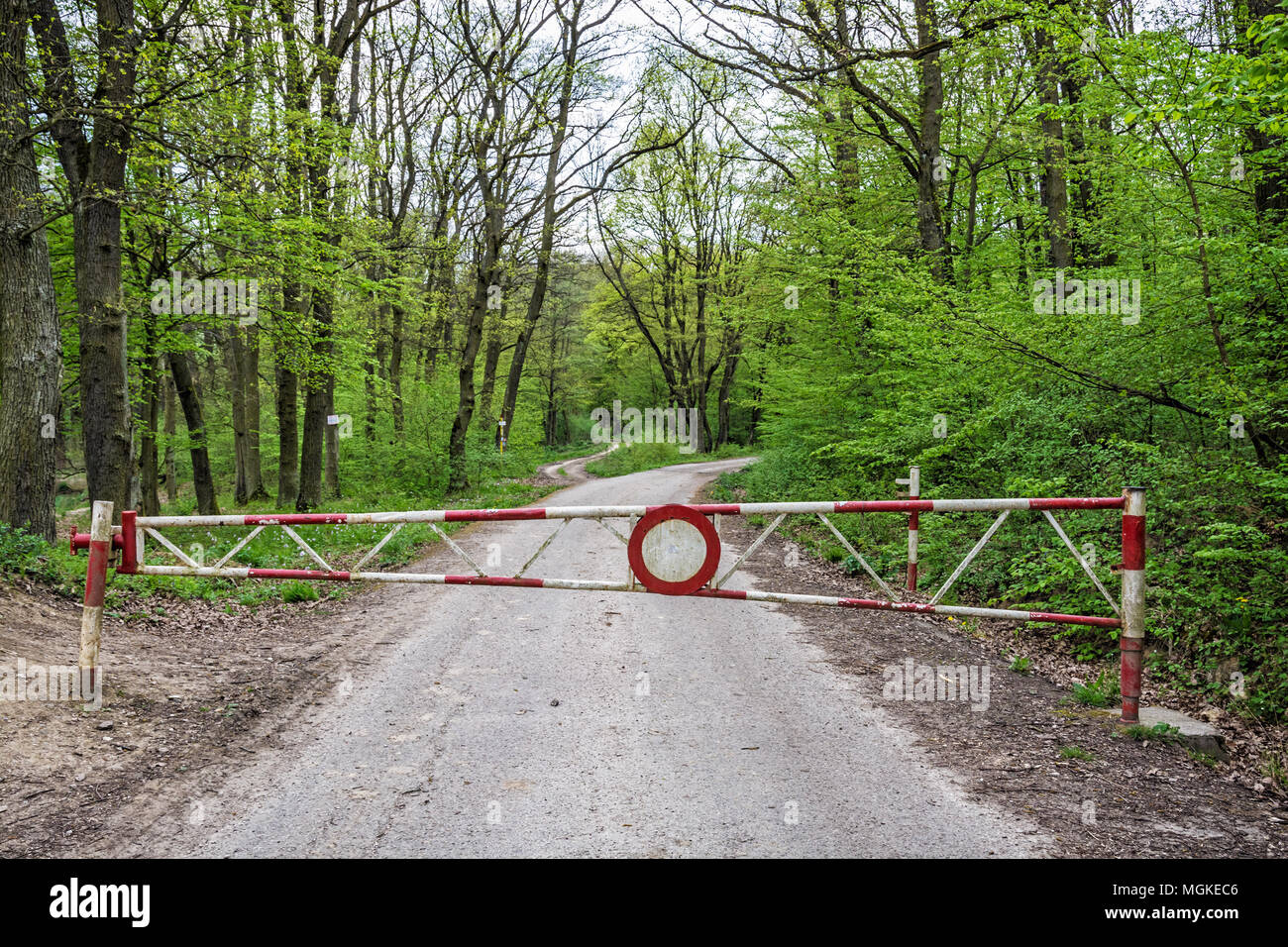 No entry to the forest path. Barrier and green forest Stock Photo - Alamy
