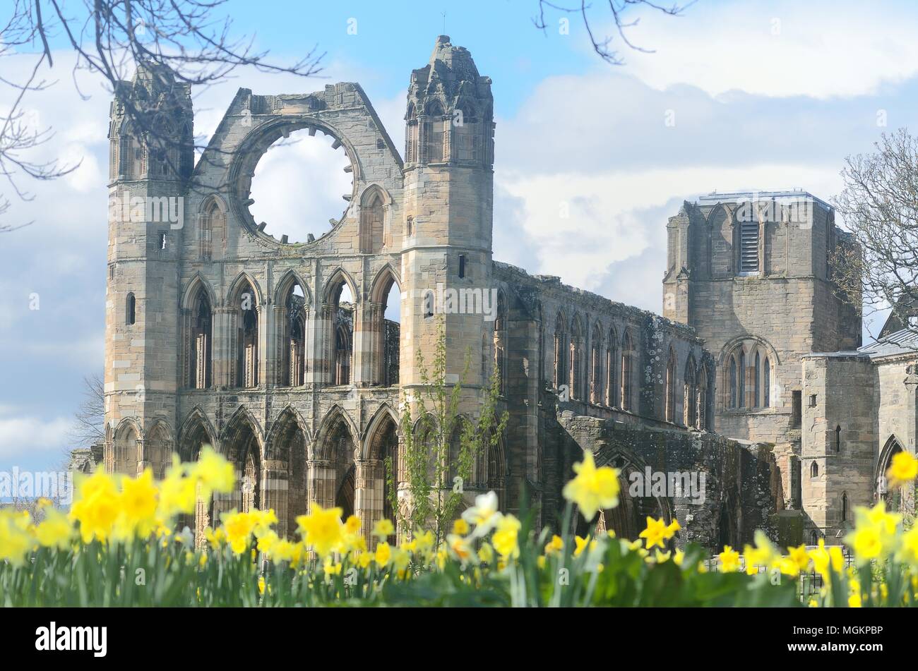 Elgin cathedral ruins hi-res stock photography and images - Alamy