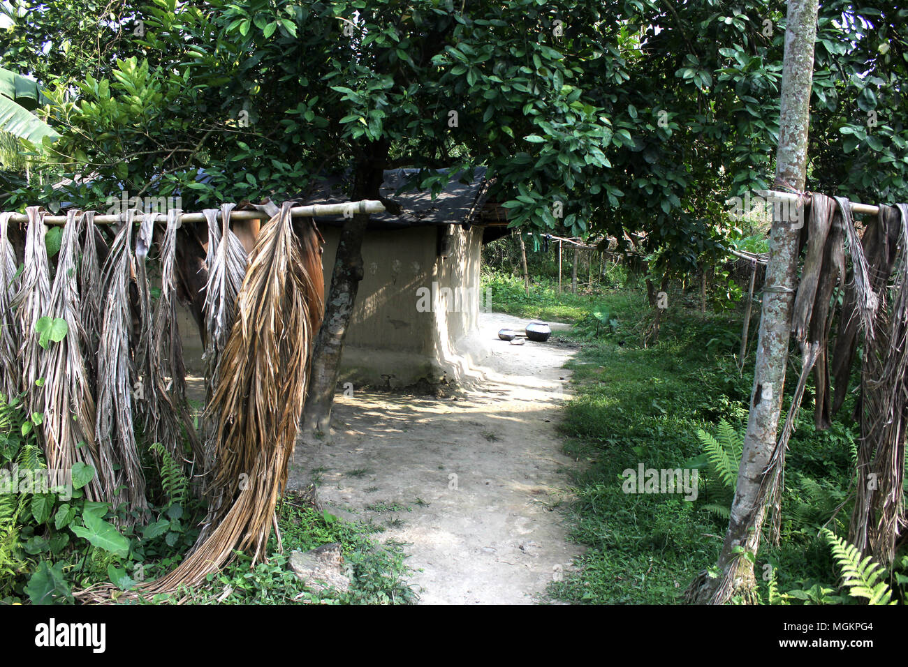 Bamboo home assam india hi-res stock photography and images - Alamy