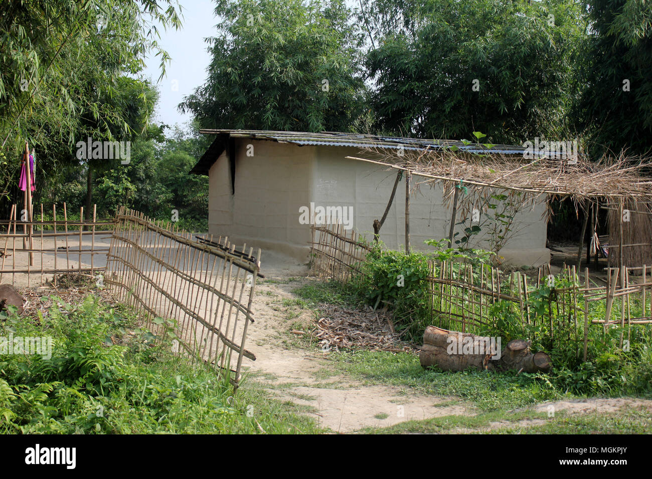Bamboo home assam india hi-res stock photography and images - Alamy