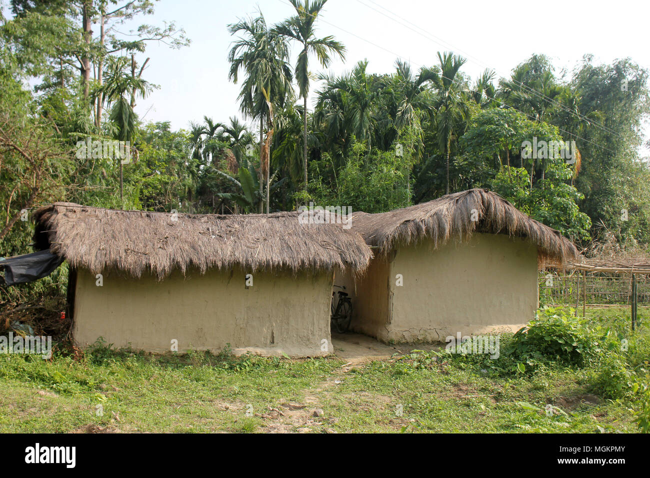 Bamboo home assam india hi-res stock photography and images - Alamy