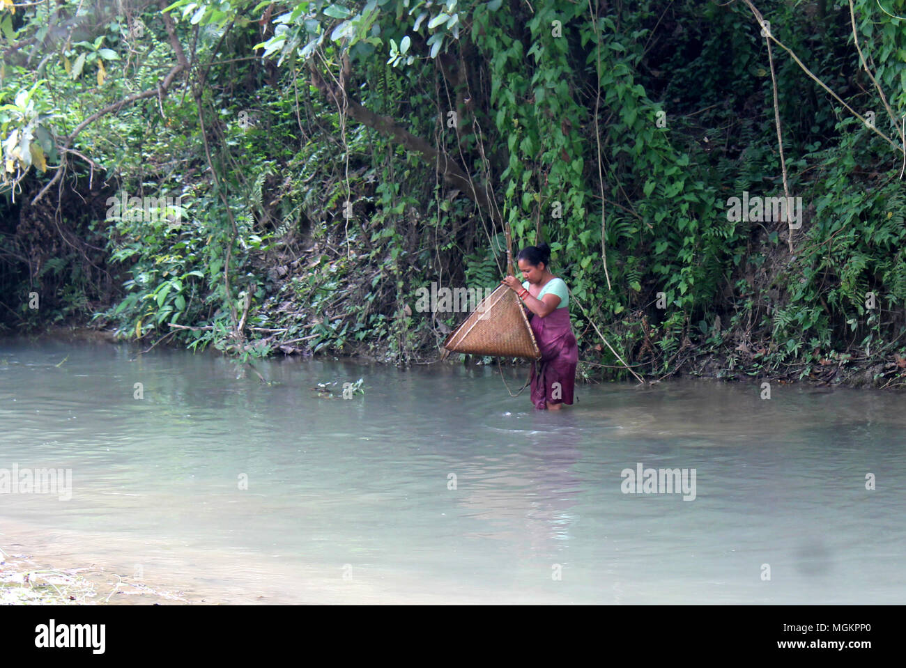 Nikashi, India. 27th Apr, 2018. Tribal women fishing in a river with ...