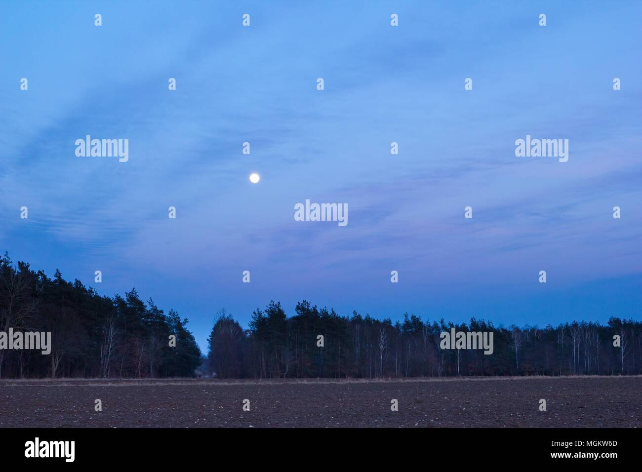 Moon over field in spring. Colorful evening sky with moon over fields ...