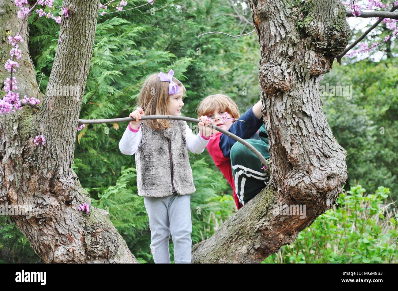 Alexandria, VA. Kids playing in a backyard garden during spring. April ...