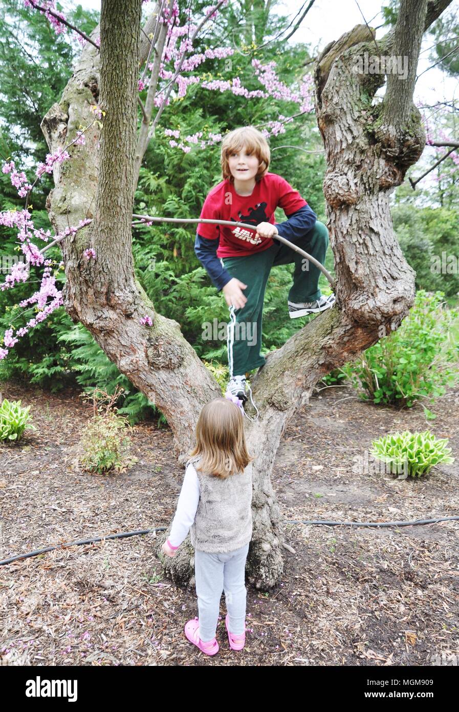 Alexandria, VA. Kids playing in a backyard garden during spring. April ...