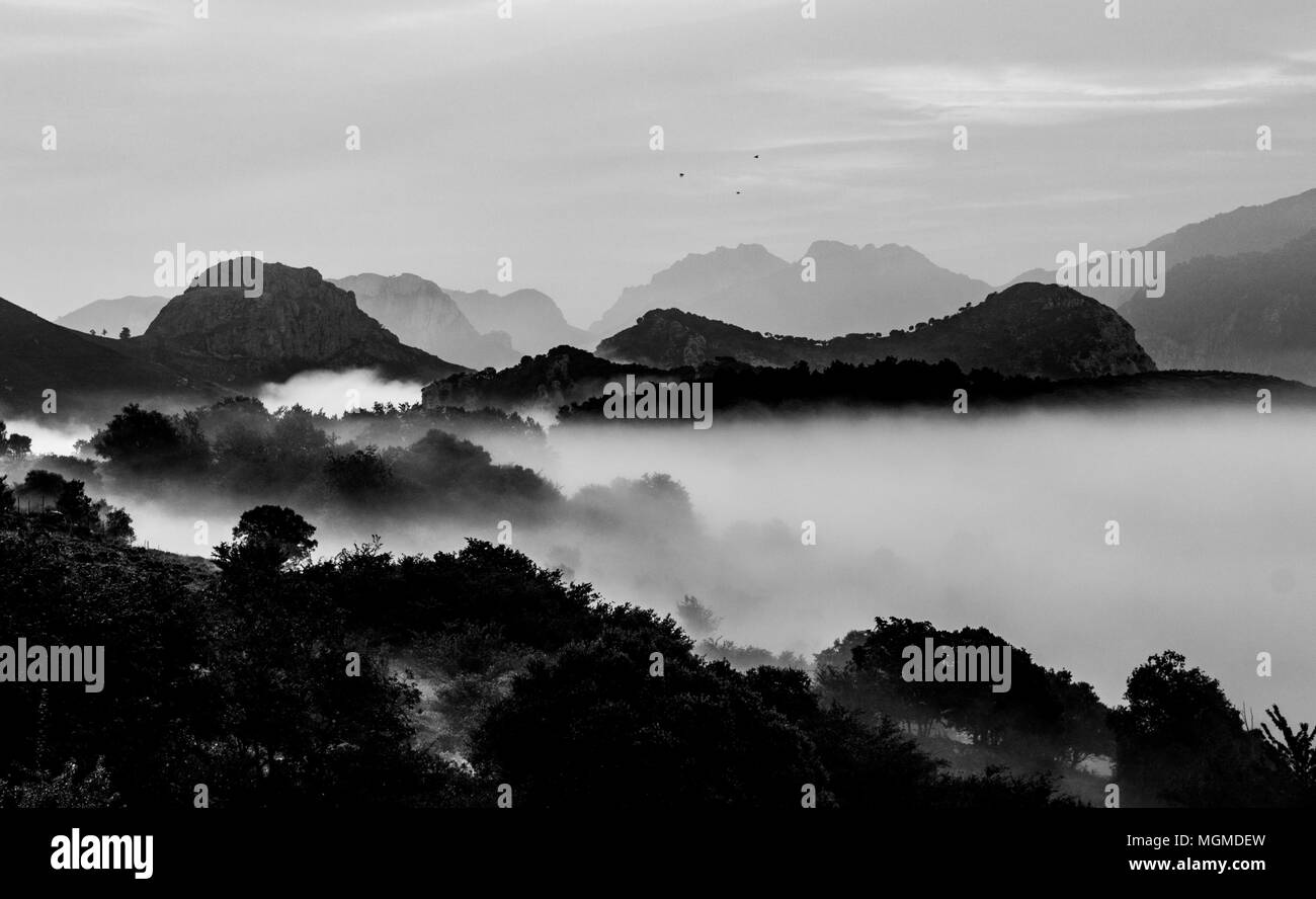 Mist is formed amidst the Mountain Landscape Stock Photo - Alamy