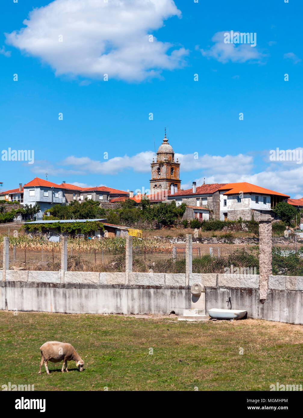 Ambia hi-res stock photography and images - Alamy