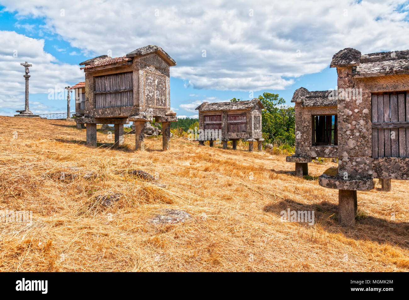 Quins hi-res stock photography and images - Alamy