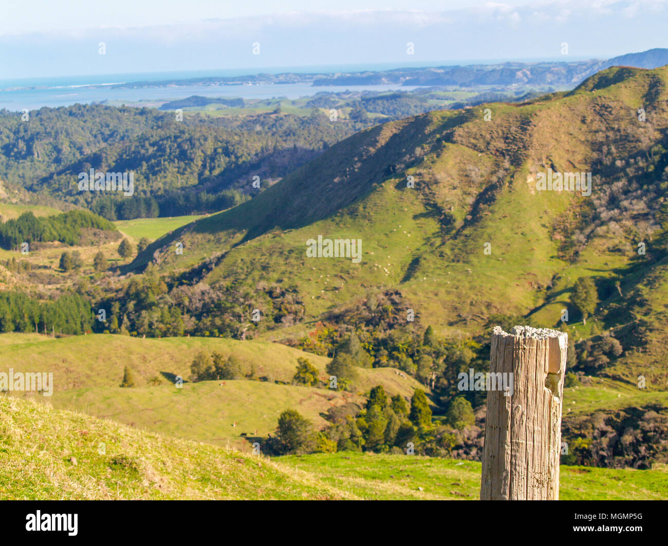 Typical New Zealand rolling coastal countryside Stock Photo - Alamy