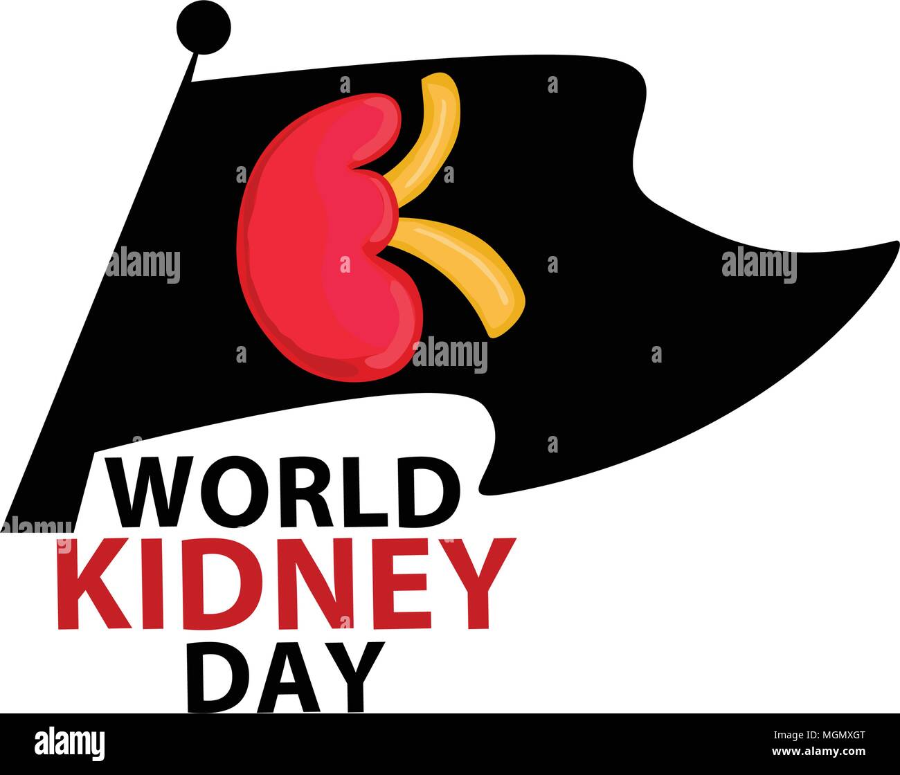 Abstract kidney anatomy vector Cut Out Stock Images & Pictures - Alamy