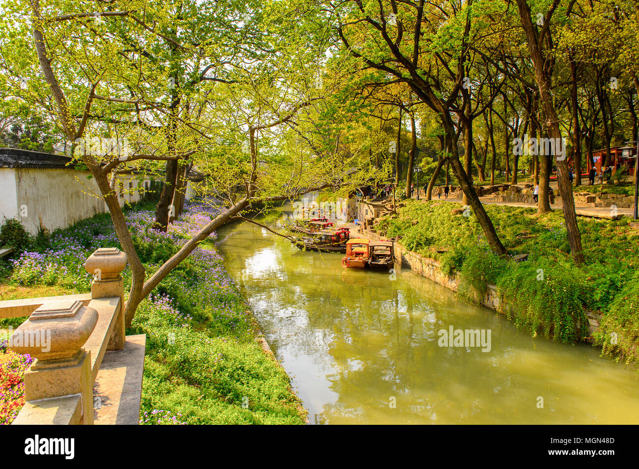 Tiger in shanghai hi-res stock photography and images - Alamy