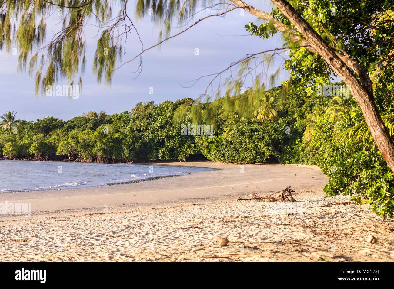 Cairns reef australia hi-res stock photography and images - Alamy