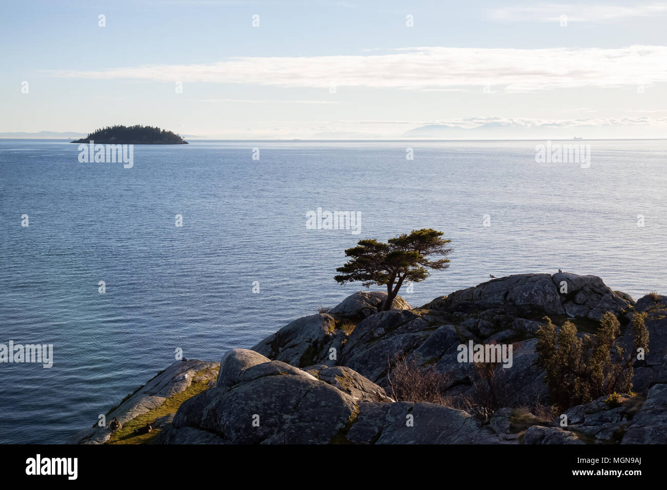 Beautiful Landscape View of Whytecliff Park during a vibrant sunset ...