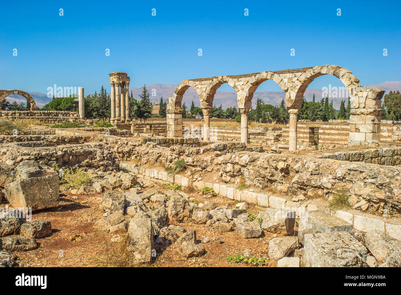 Arch of the Ruins of the Umayyad city of Anjar, Lebanon Stock Photo - Alamy
