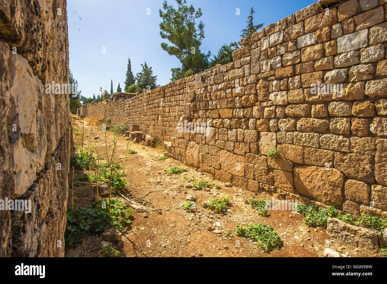 Ruins of the Islamic city of Anjar, Lebanon Stock Photo - Alamy