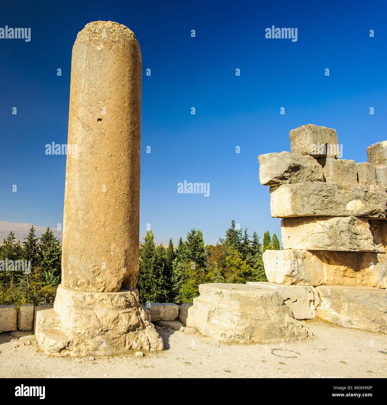 Columns of the Roman ruins in Lebanon, Baalbek Stock Photo - Alamy