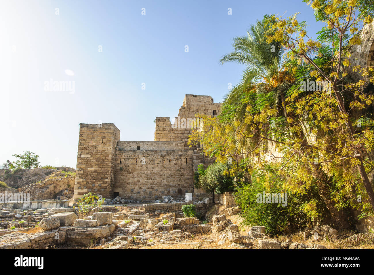 Byblos Castle 3D Model Castle Byblos TurboSquid 1328368
