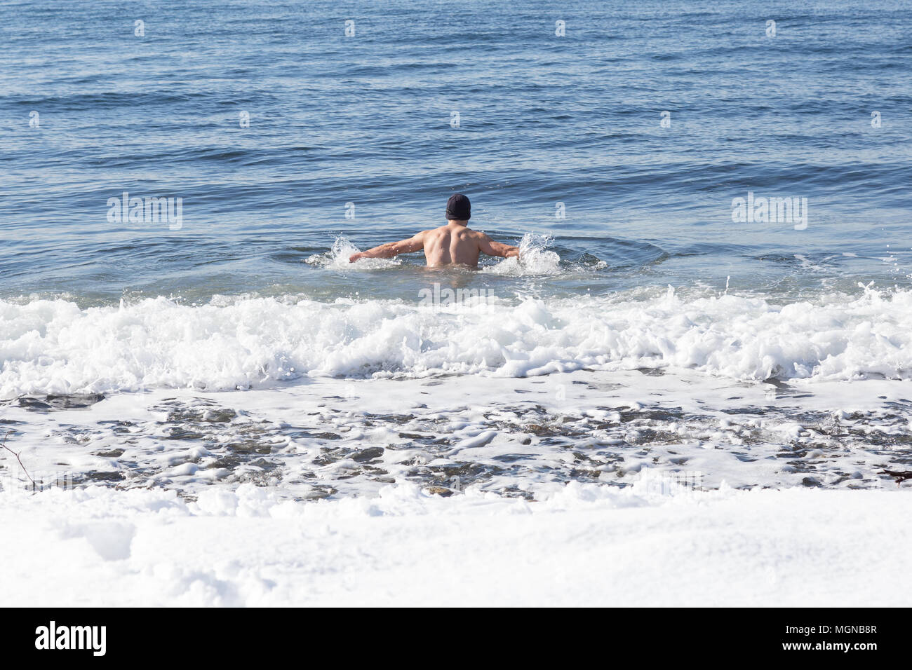 Polar bear swim beach hi-res stock photography and images - Alamy